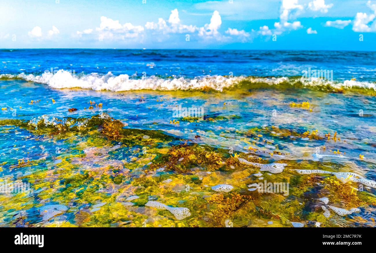 Stones rocks and corals in turquoise green and blue water on the beach ...