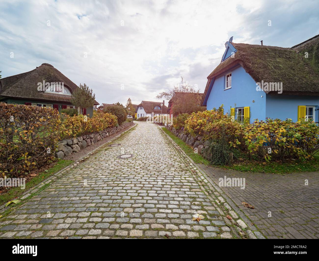 Modern houses built in traditional style with reeds roof. Historical ...