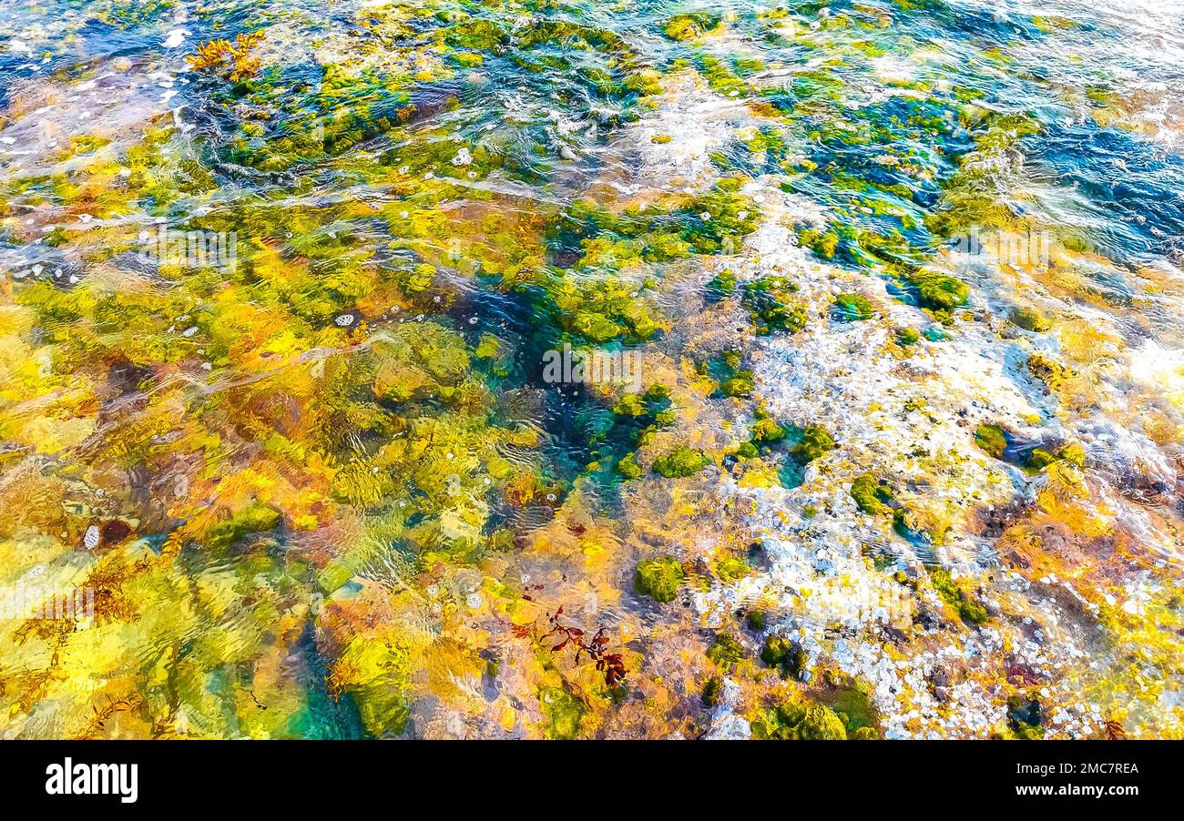 Stones rocks and corals in turquoise green and blue water on the beach ...