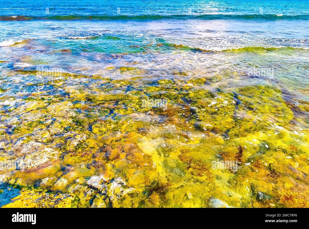 Stones rocks and corals in turquoise green and blue water on the beach ...