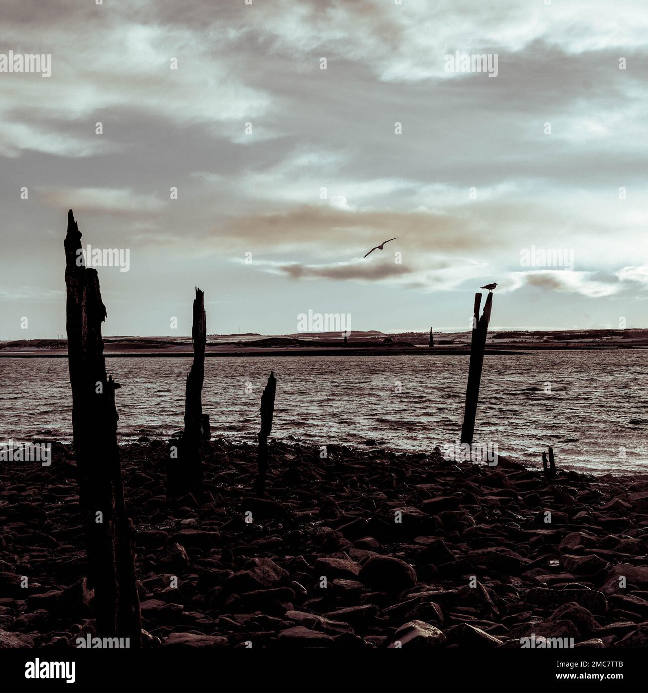 Groins and day markers, Lindisfarne, Northumberland, UK Stock Photo - Alamy