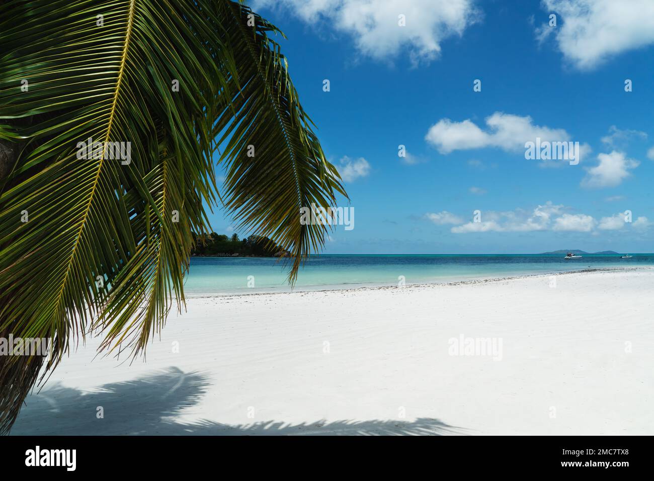 Horizontal palm on the beach of Anse Volbert on the Seychelles Stock ...