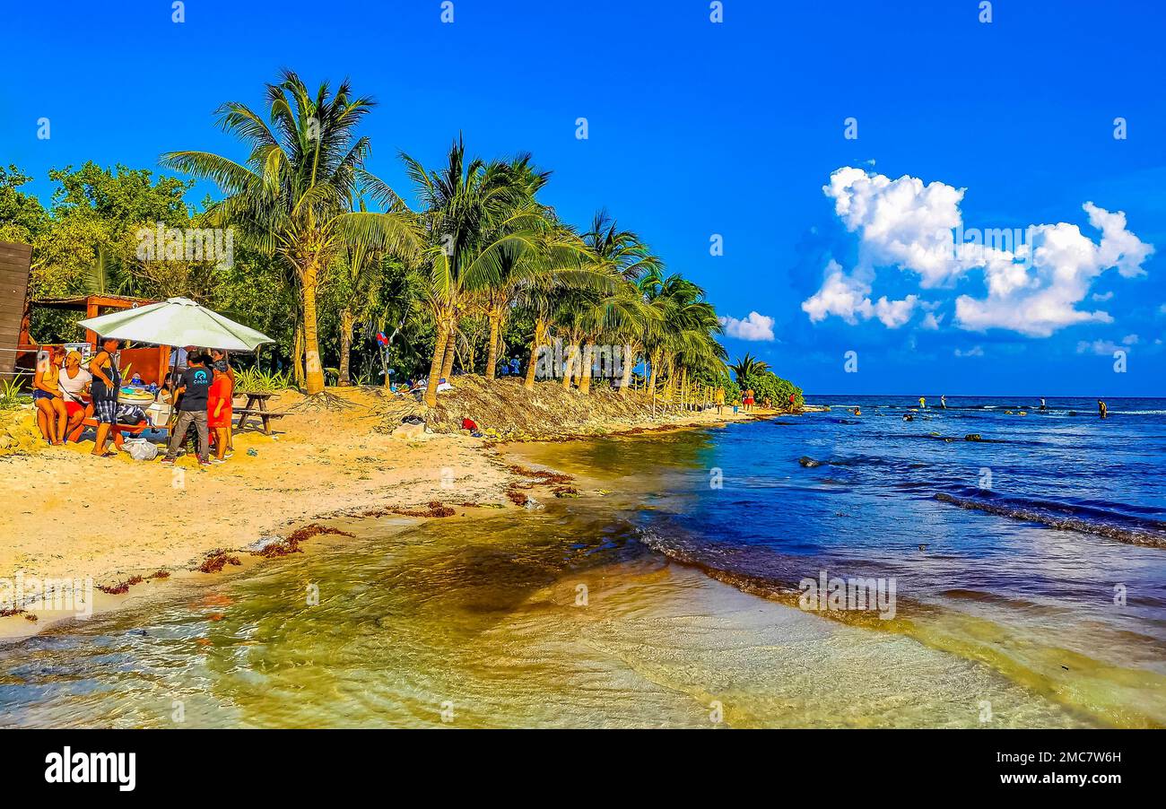 Tropical mexican beach landscape panorama with clear turquoise blue ...