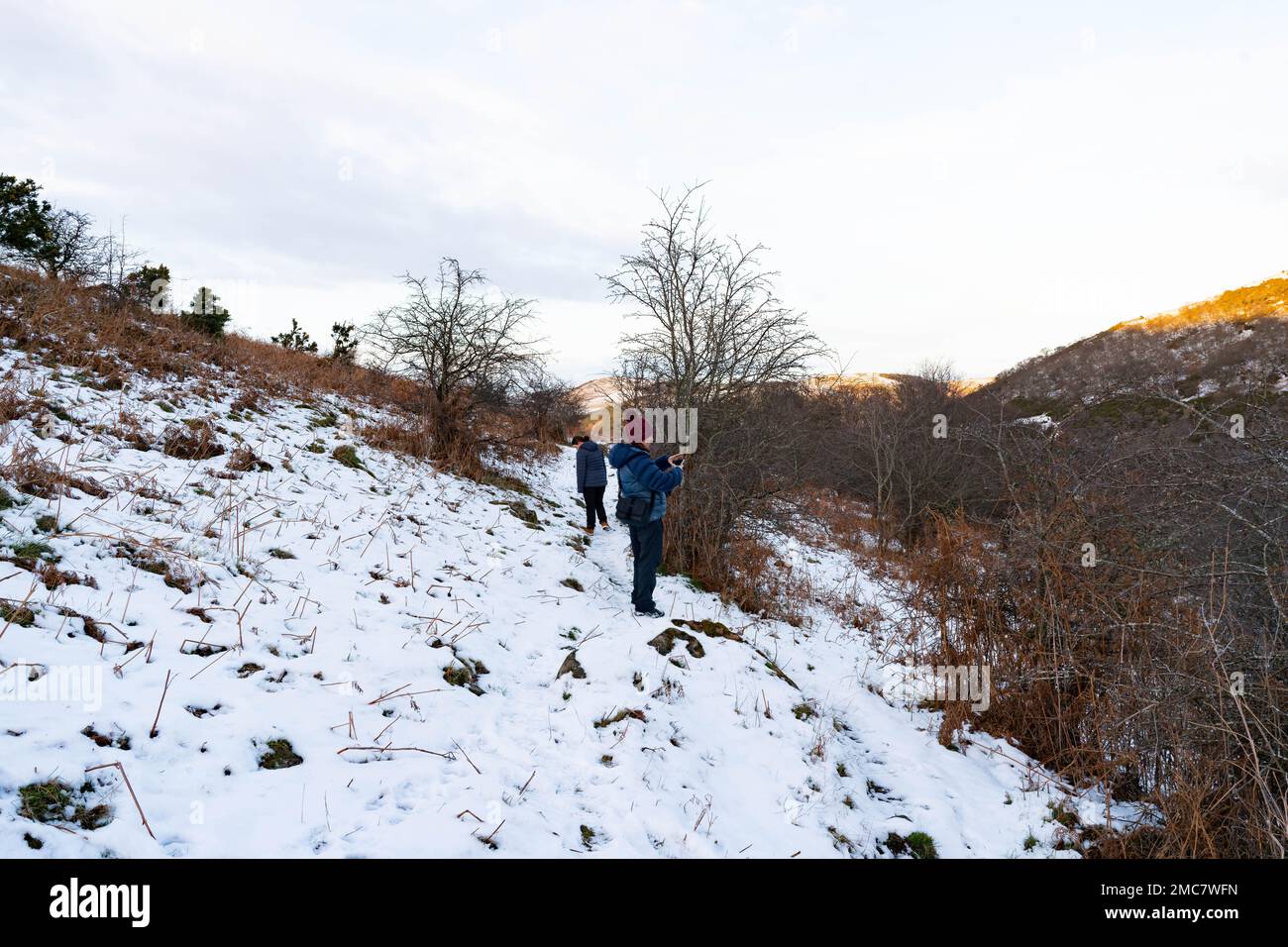 Hikers cheviot hills winter hi-res stock photography and images - Alamy
