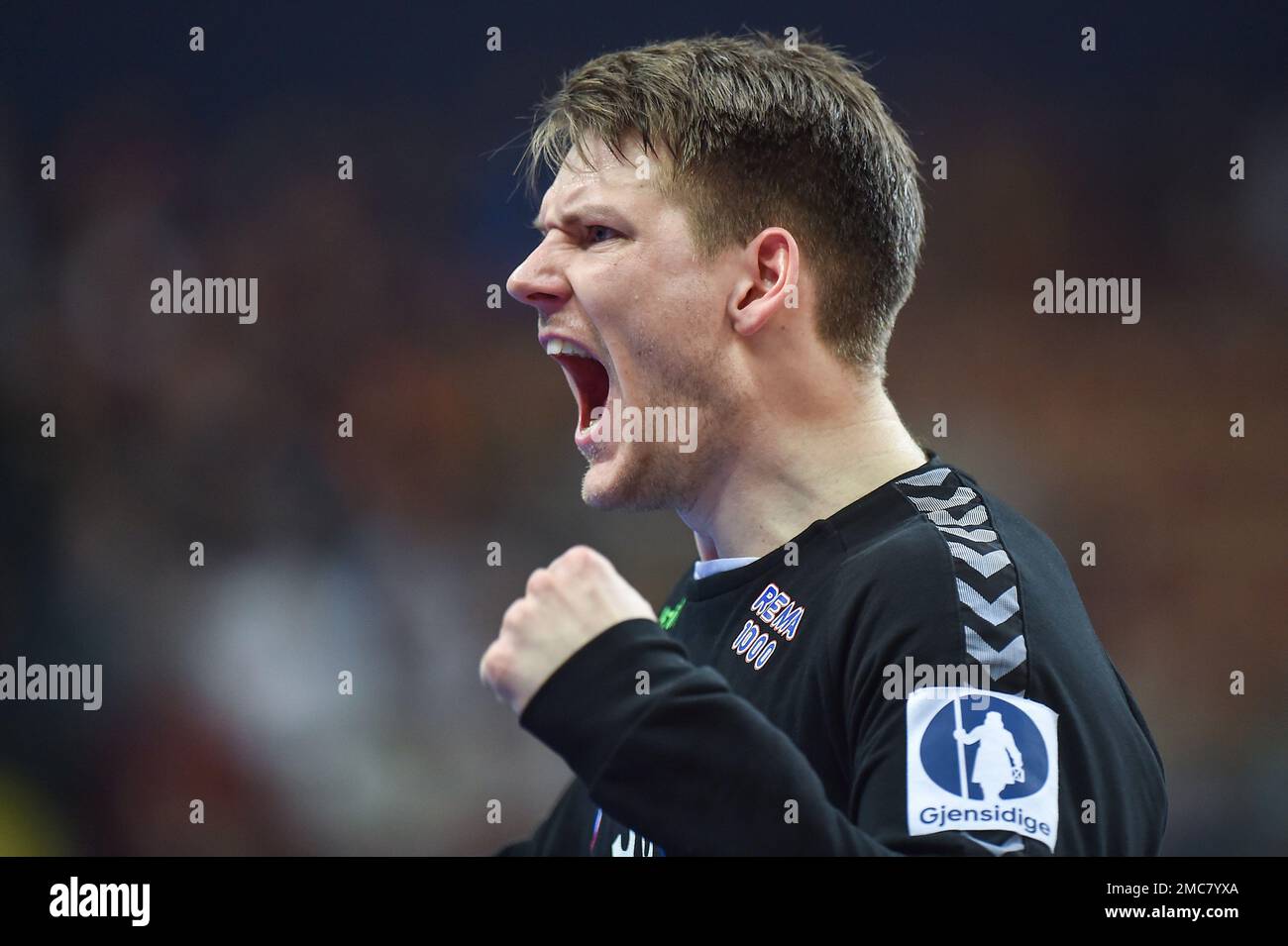 Torbjorn Bergerud, radosc during IHF MenÕs World Championship match ...