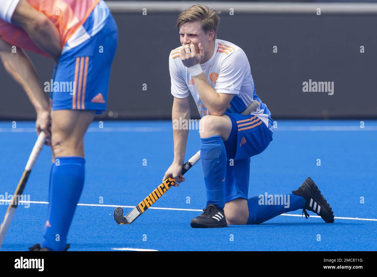 Koen bijen hi-res stock photography and images - Alamy