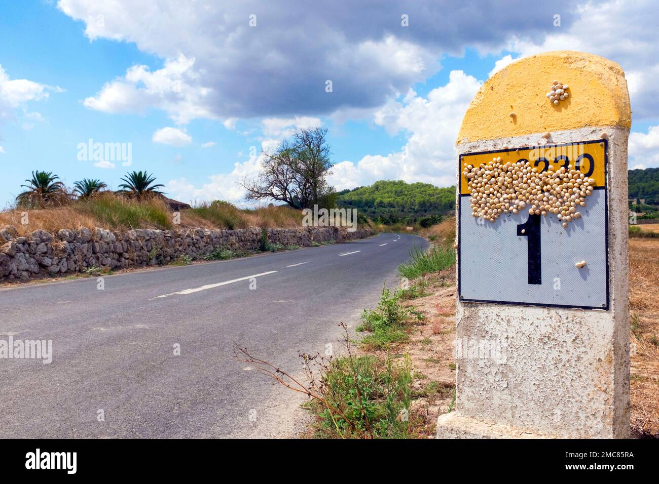 Snails at a mile stone in Spain Stock Photo - Alamy
