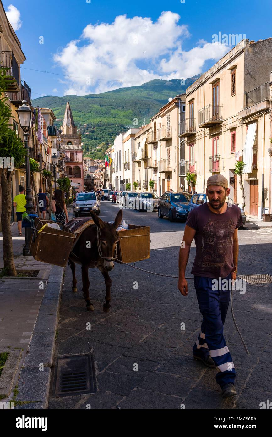 A man is collecting garbage, using a donkey for transport, in the ...