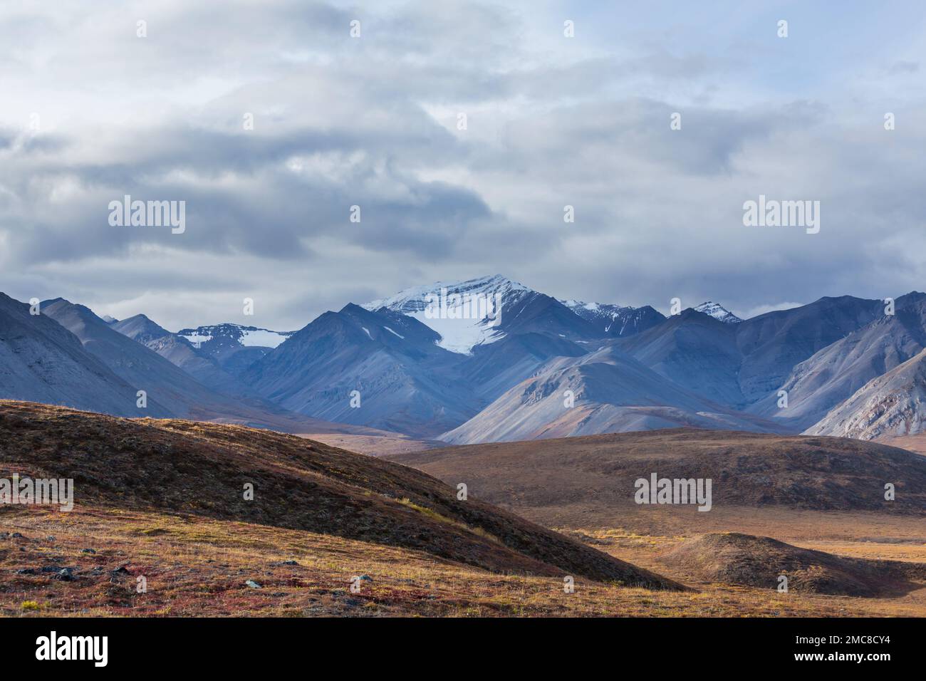 Tundra landscapes above Arctic circle Stock Photo - Alamy