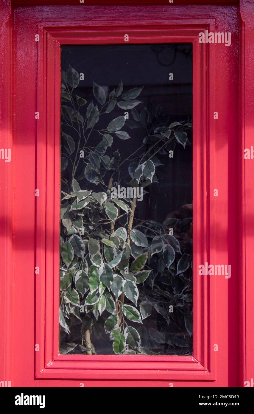 Florist window display hi-res stock photography and images - Alamy