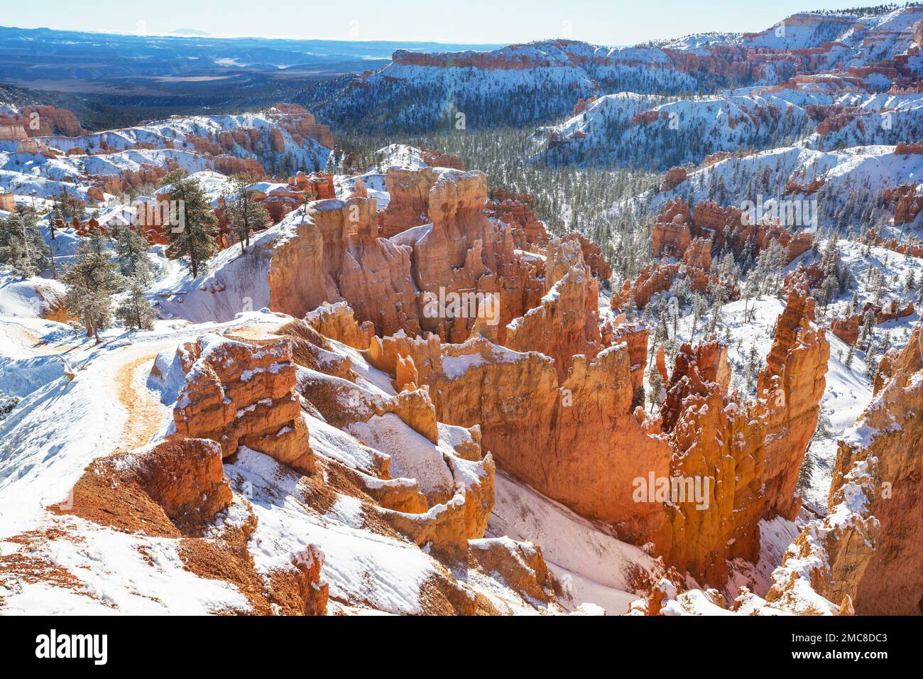 Picturesque colorful pink rocks of the Bryce Canyon National park in ...