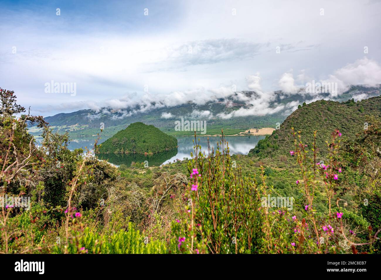 Colombia lake and trees and aerial hi-res stock photography and images ...