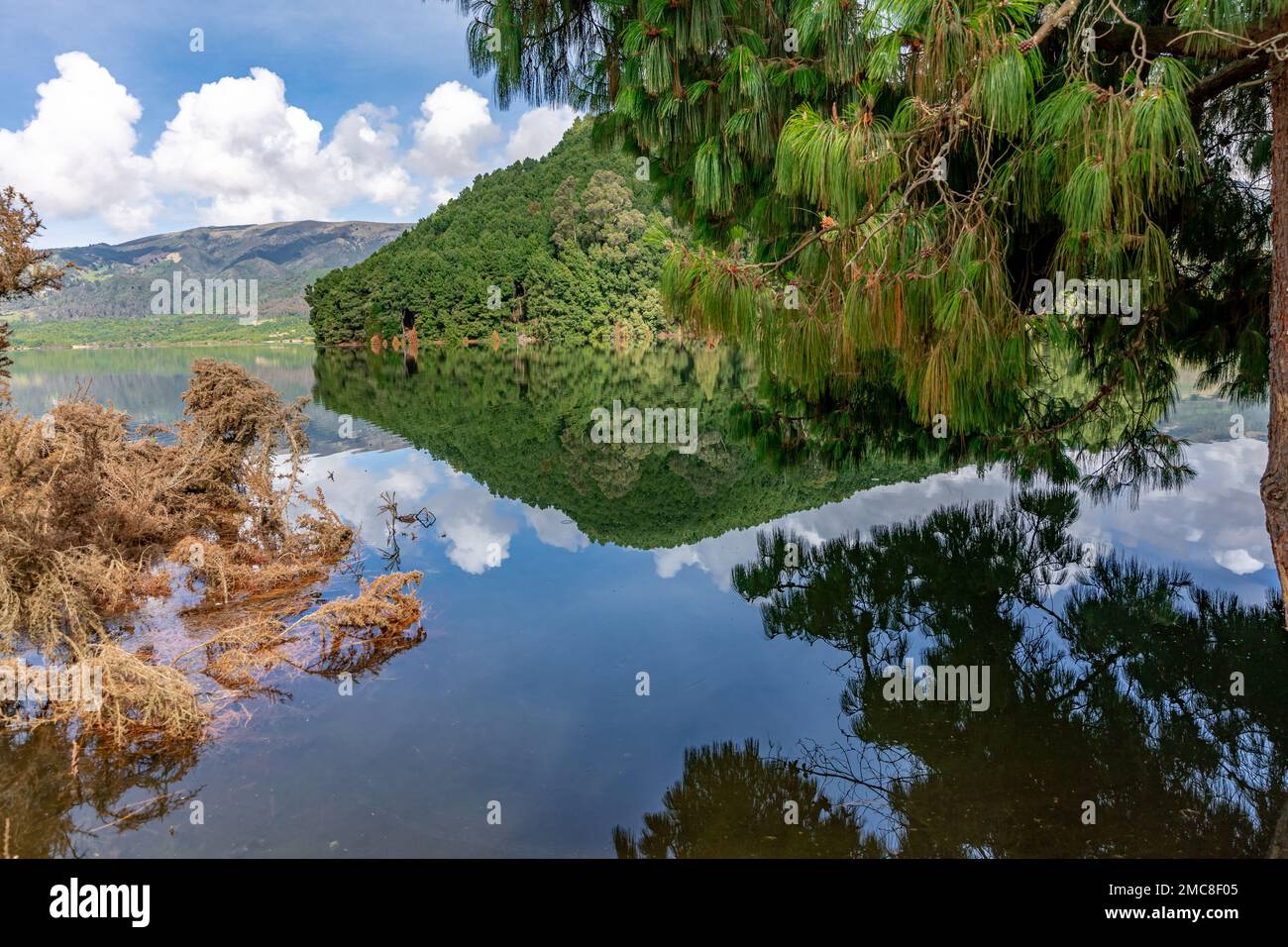 Calima Lake Water Wight