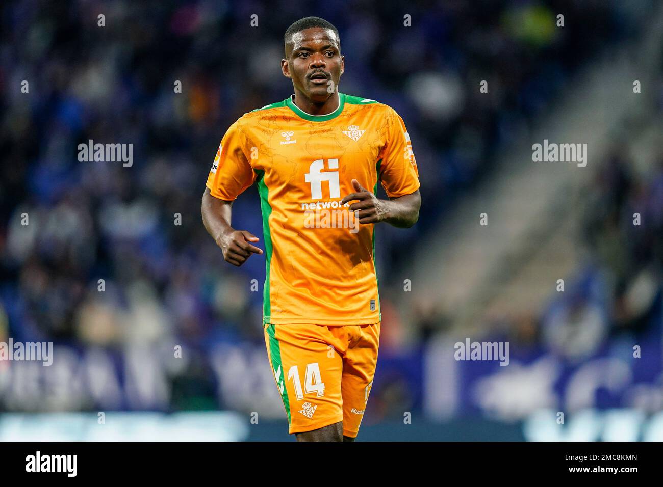 during the La Liga match between RCD Espanyol and Real Betis played at ...