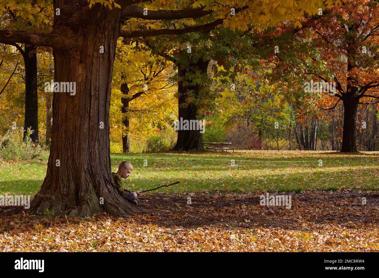 Boy sitting under a tree Stock Photo - Alamy