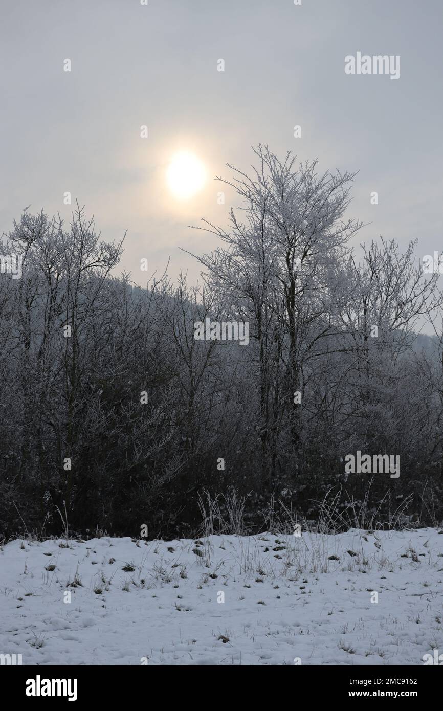Sun in nature hi-res stock photography and images - Alamy