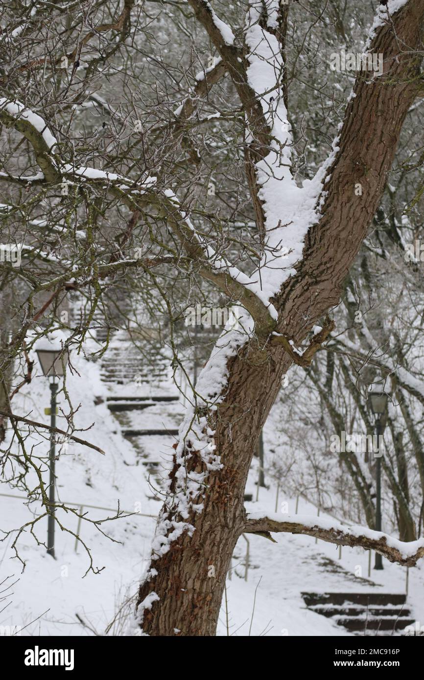 unscattered Stairs to a Viewpoint Stock Photo - Alamy