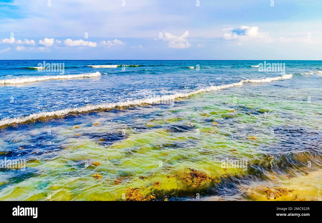 Tropical caribbean beach landscape panorama with clear turquoise blue ...