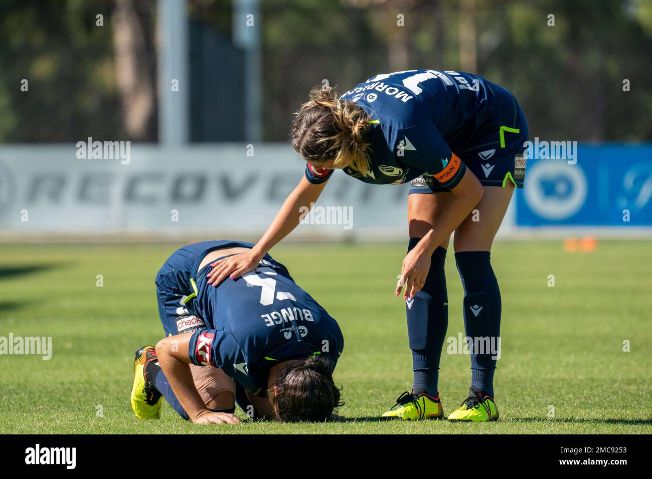 Adelaide, Australia. 21st Jan, 2023. Adelaide, South Australia, January ...