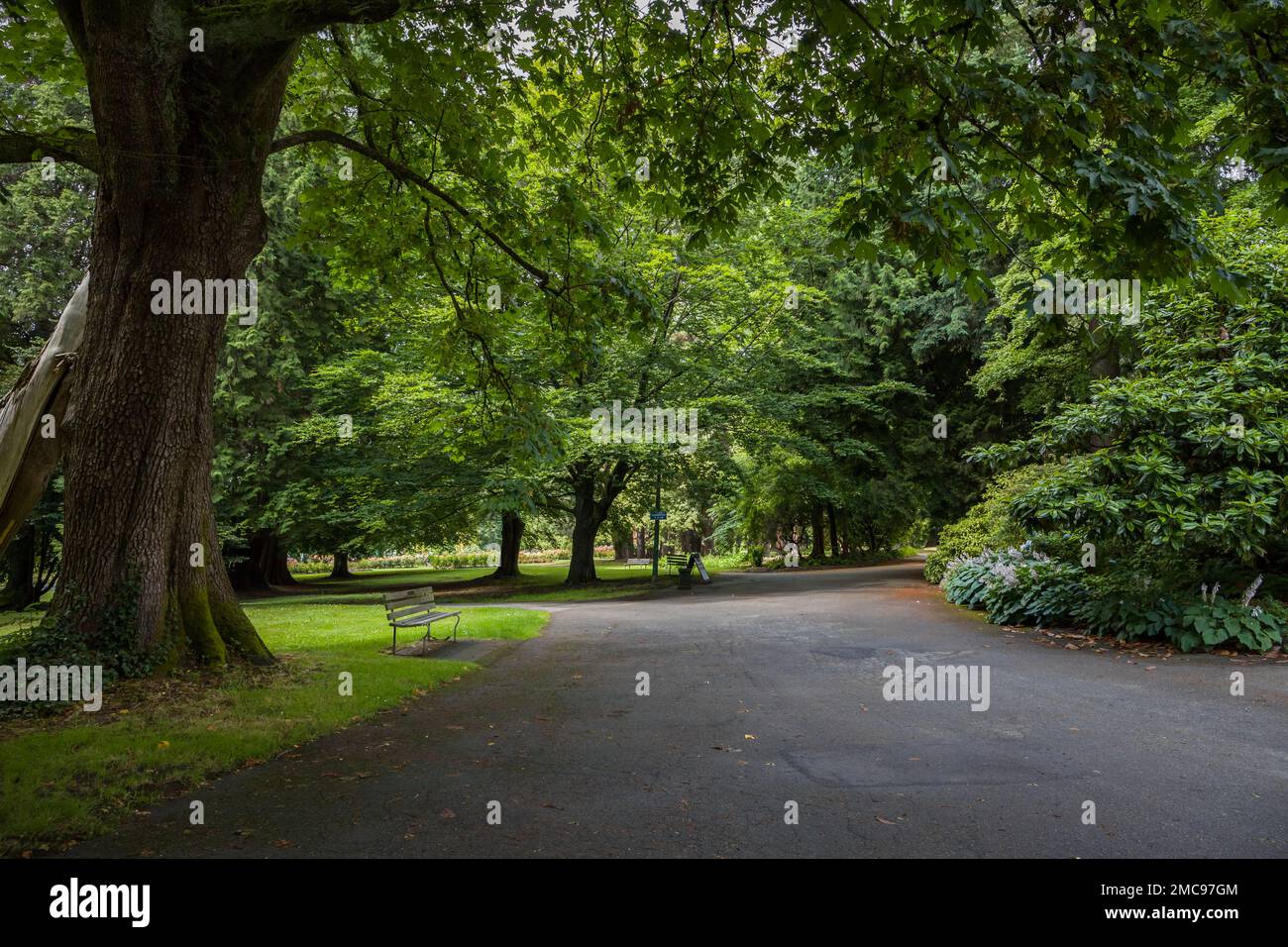 Recreation in nature hi-res stock photography and images - Alamy