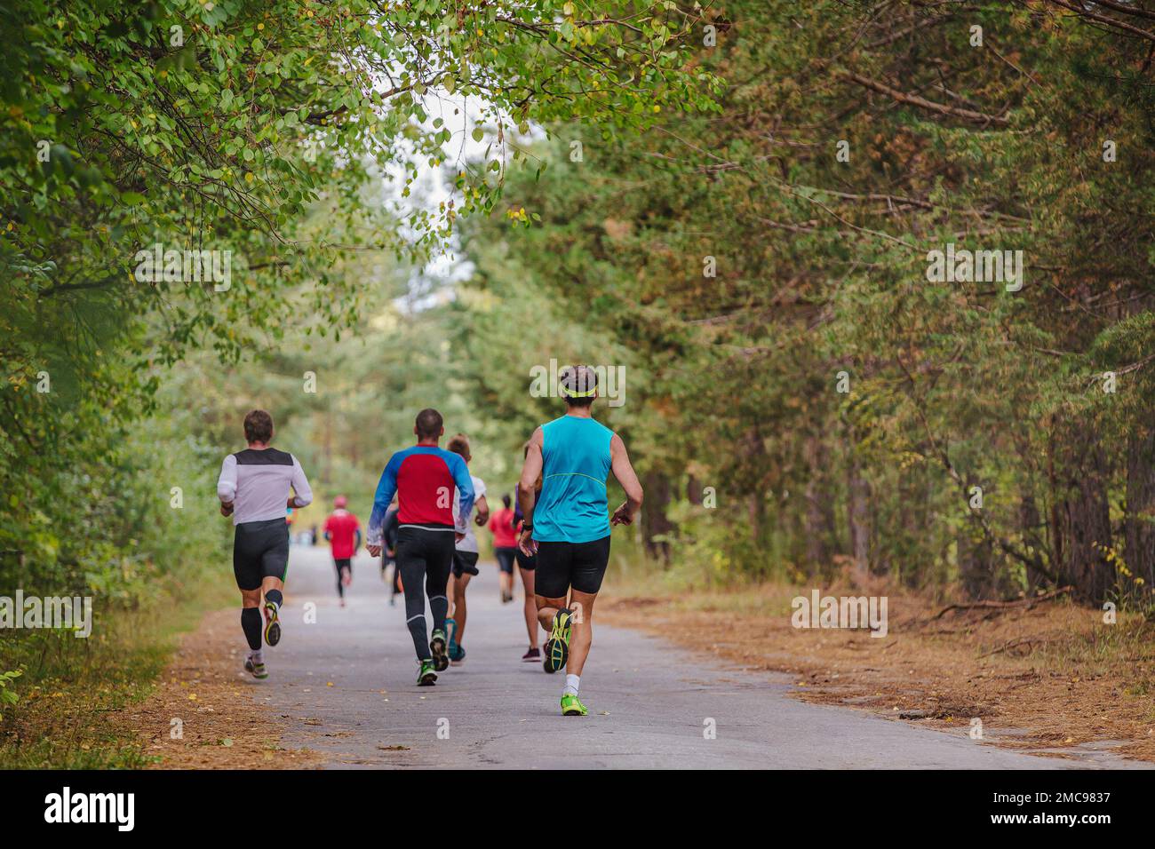 back group male runners running race in park Stock Photo - Alamy