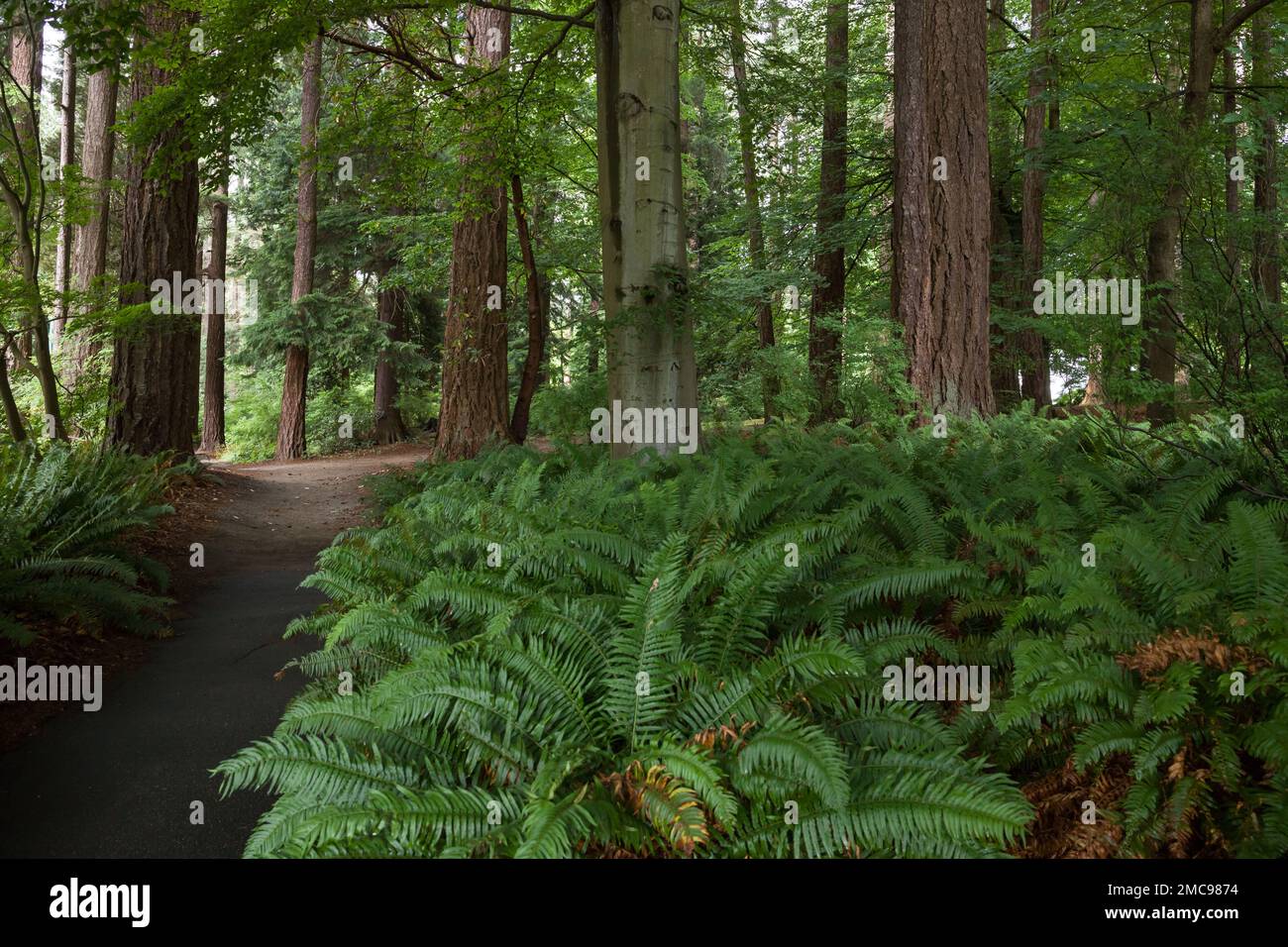 Recreation in nature hi-res stock photography and images - Alamy