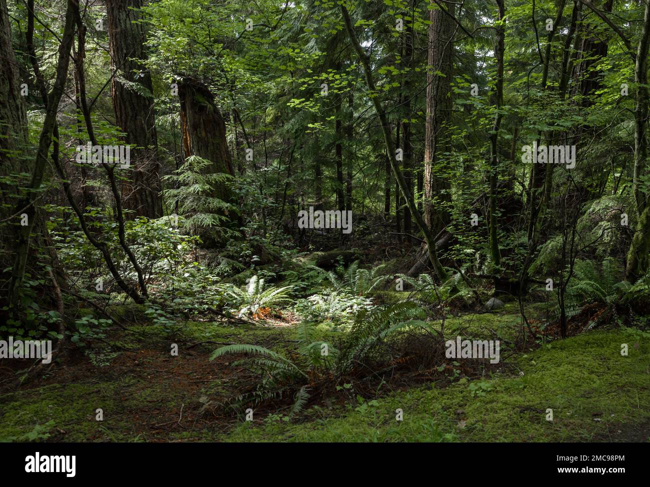 Recreation in nature hi-res stock photography and images - Alamy
