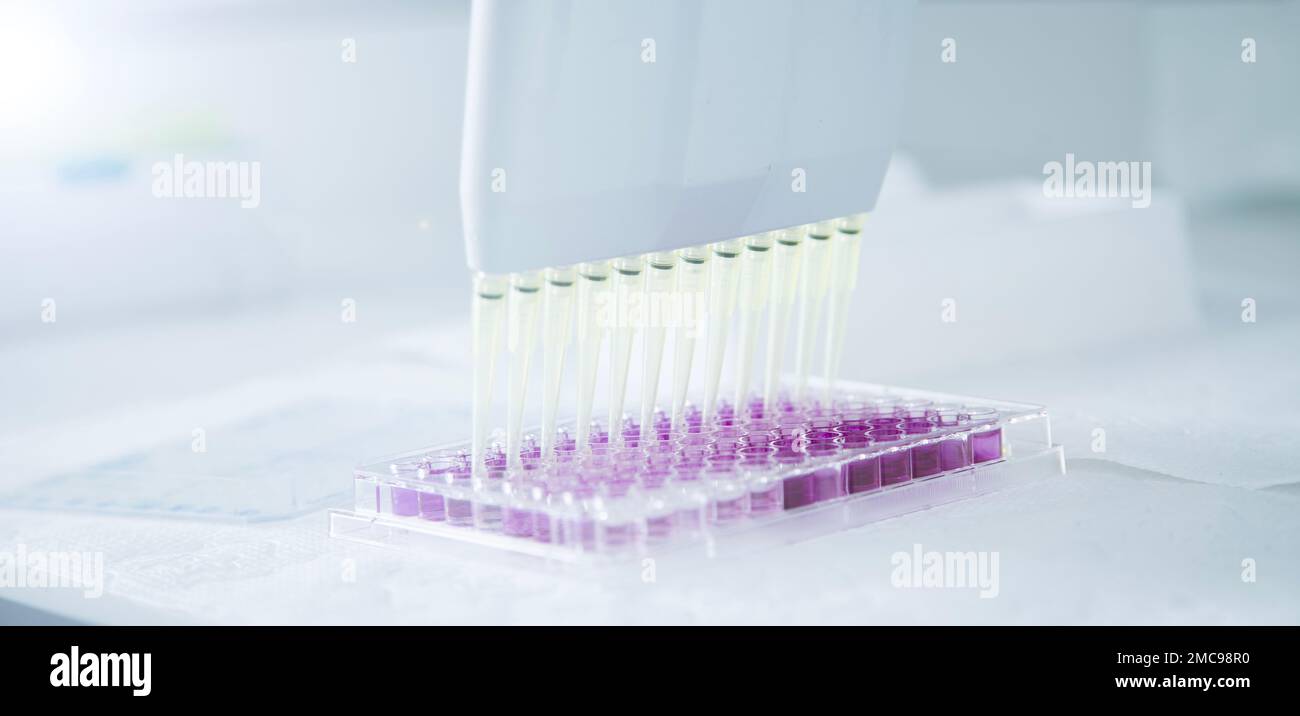 cell culture at the medicine, medical and cell culture laboratory Stock ...