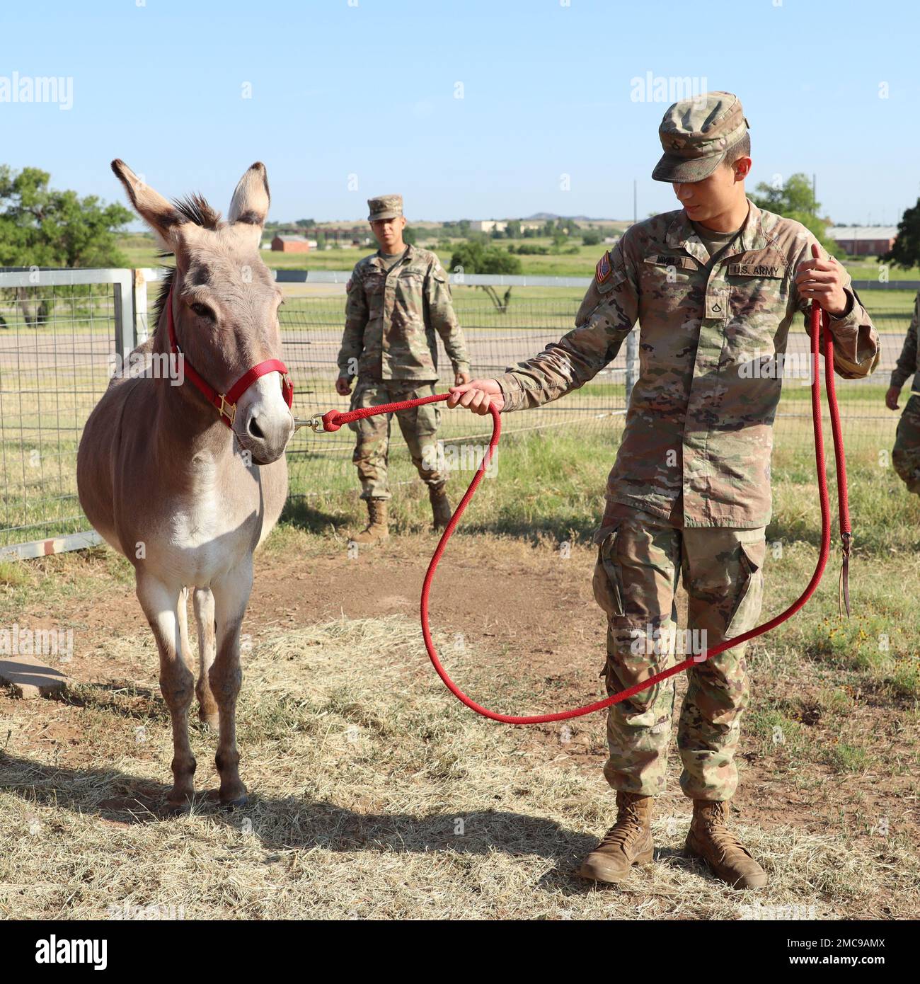 PFC Sean Ayala taking Sgt. Big Deuce VIII for a walk around his stable ...