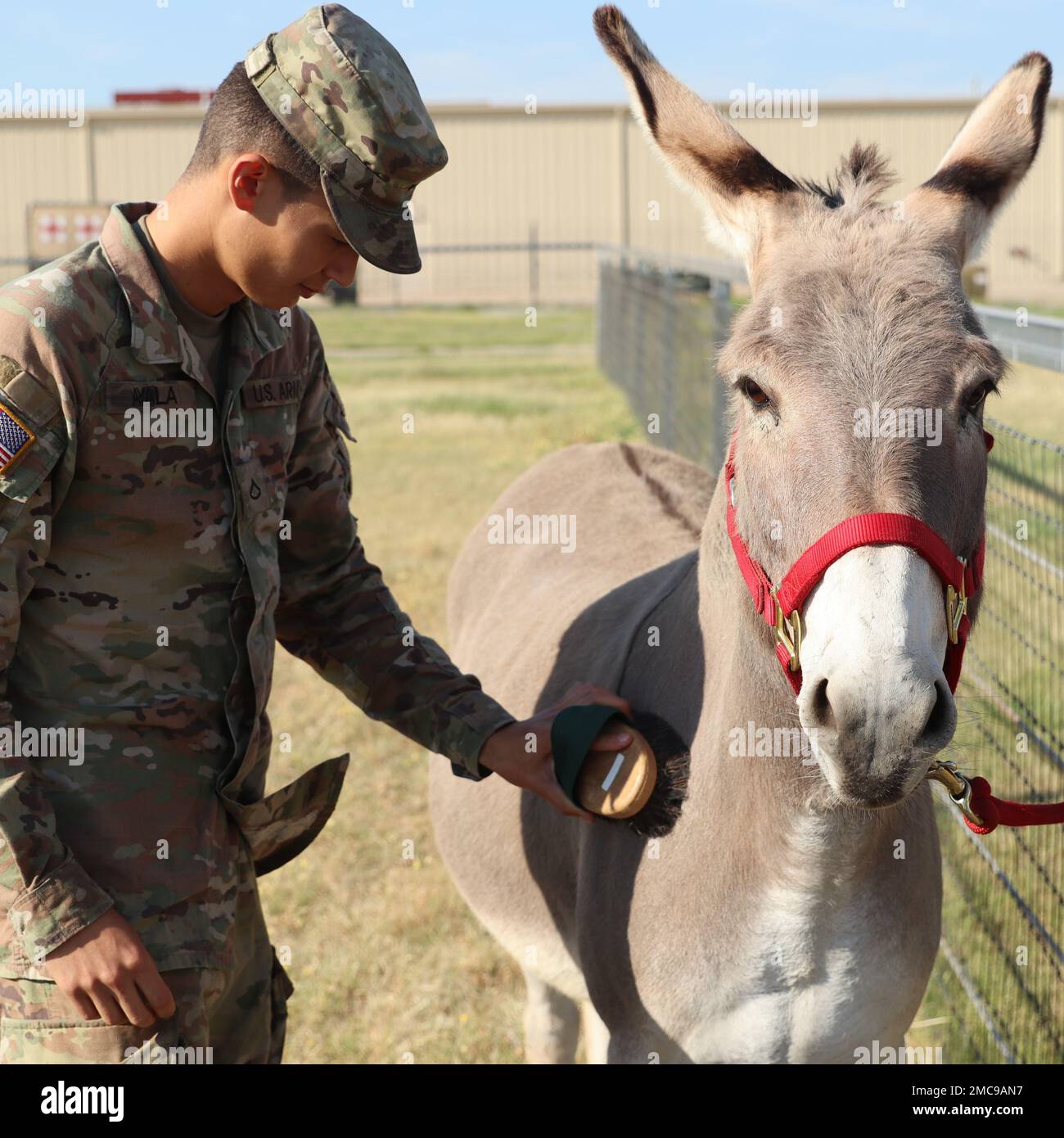 Pfc. Sean Ayala of A battery, 2-2 FAR grooming the field artillery ...