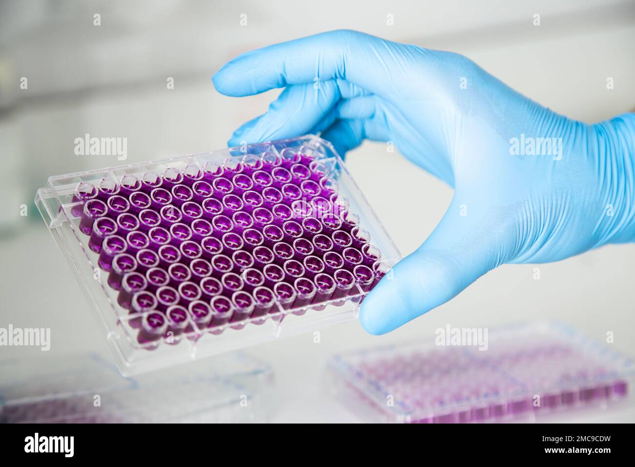 Mammalian cell hi-res stock photography and images - Alamy