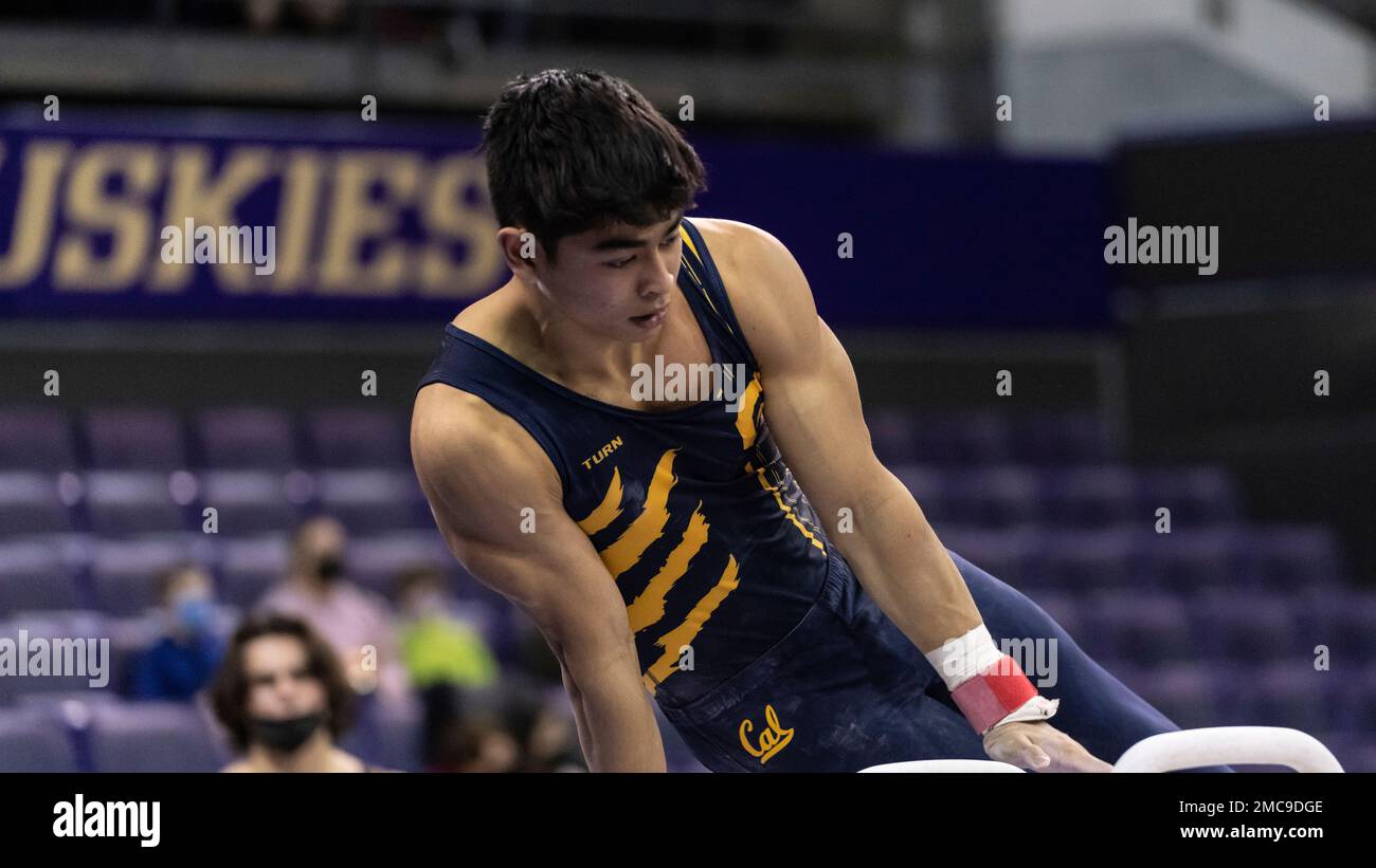 California's Noah Newfield competes on the pommel horse during an NCAA ...