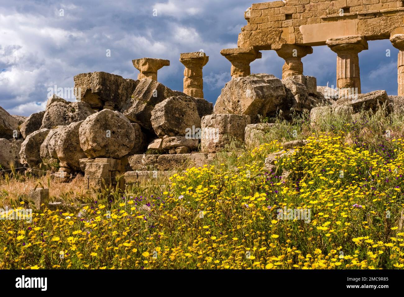 Ruins and columns of the temple of Acropoli in the archaeological site ...