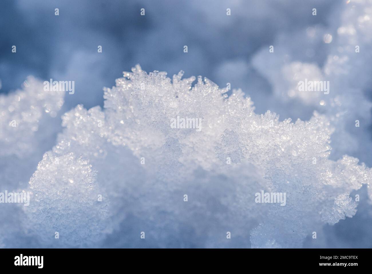 Snow as background, closeup view. Winter weather. Spring grainy blue ...