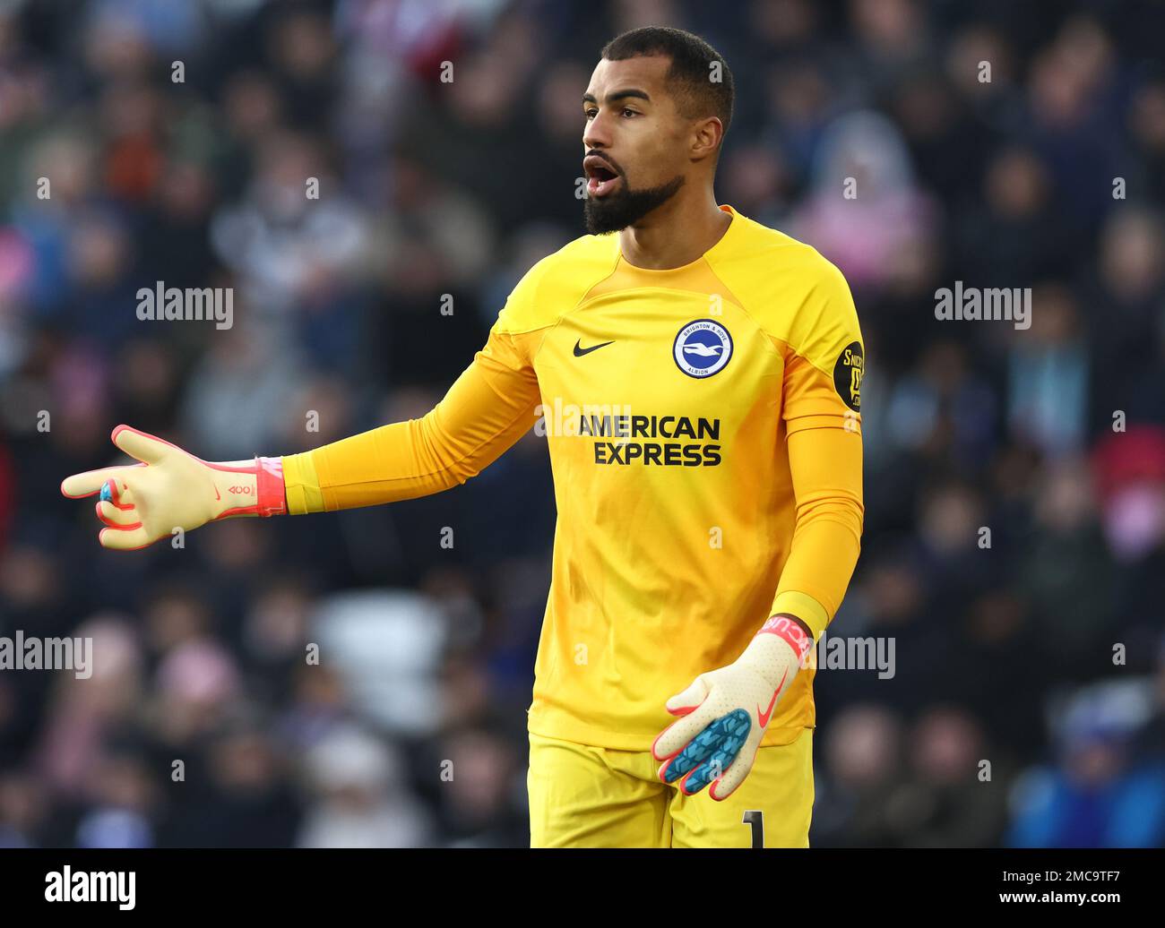 Robert sanchez of brighton hi-res stock photography and images - Alamy