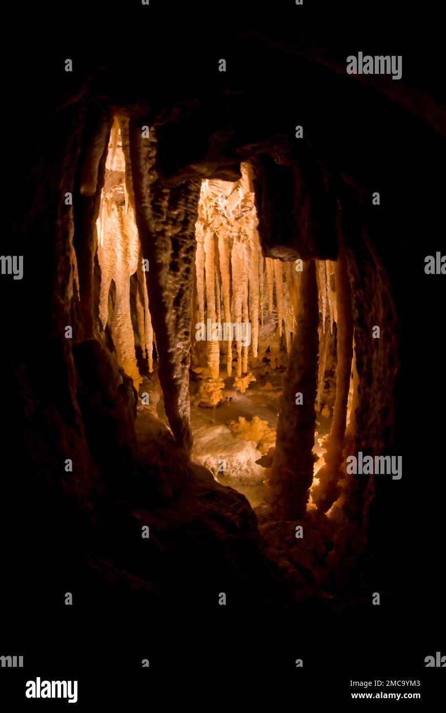 Unusual stalactites forming inside cave, Ngilgi Cave, Margaret River ...
