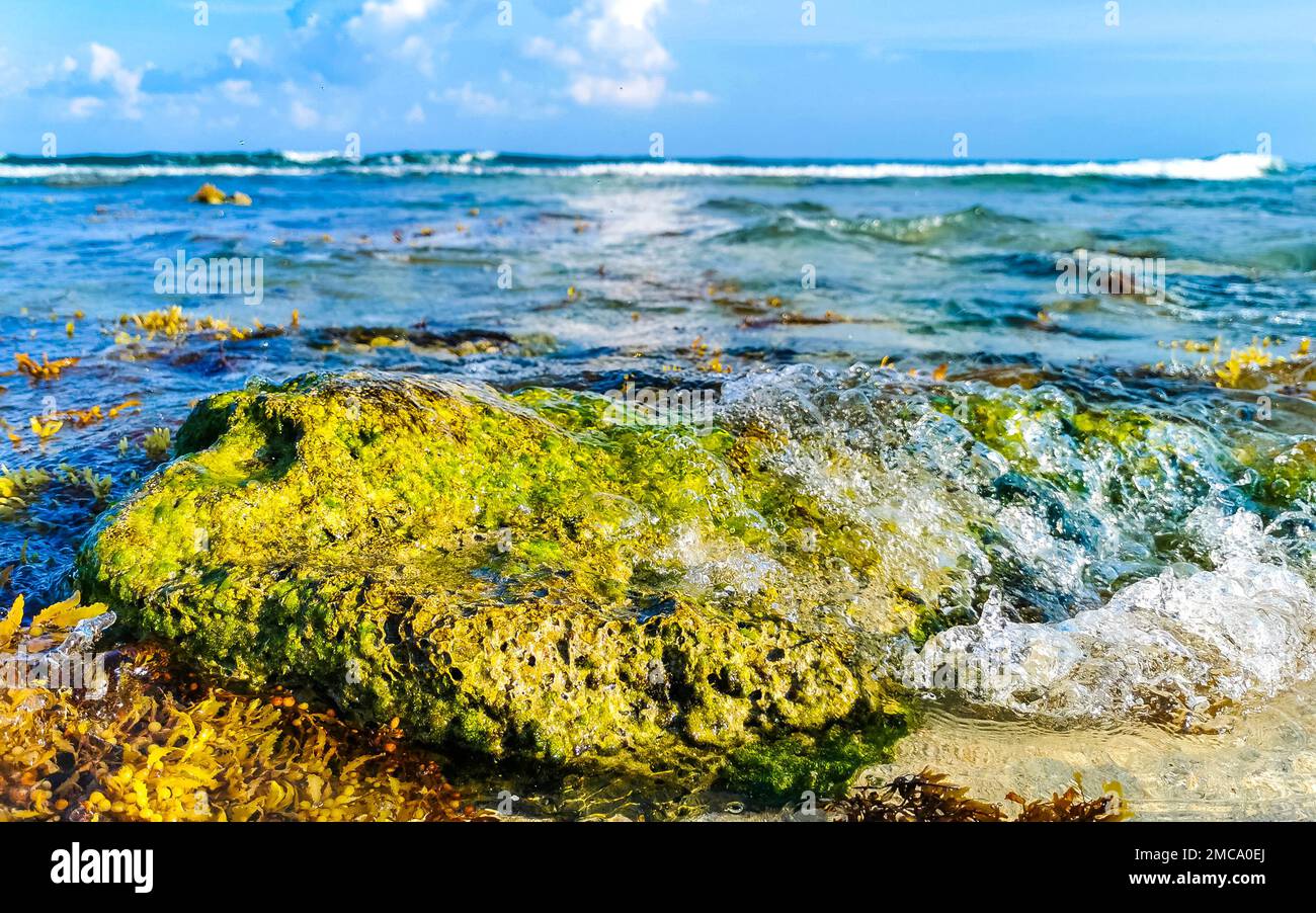 Stones rocks and corals in turquoise green and blue water on the beach ...