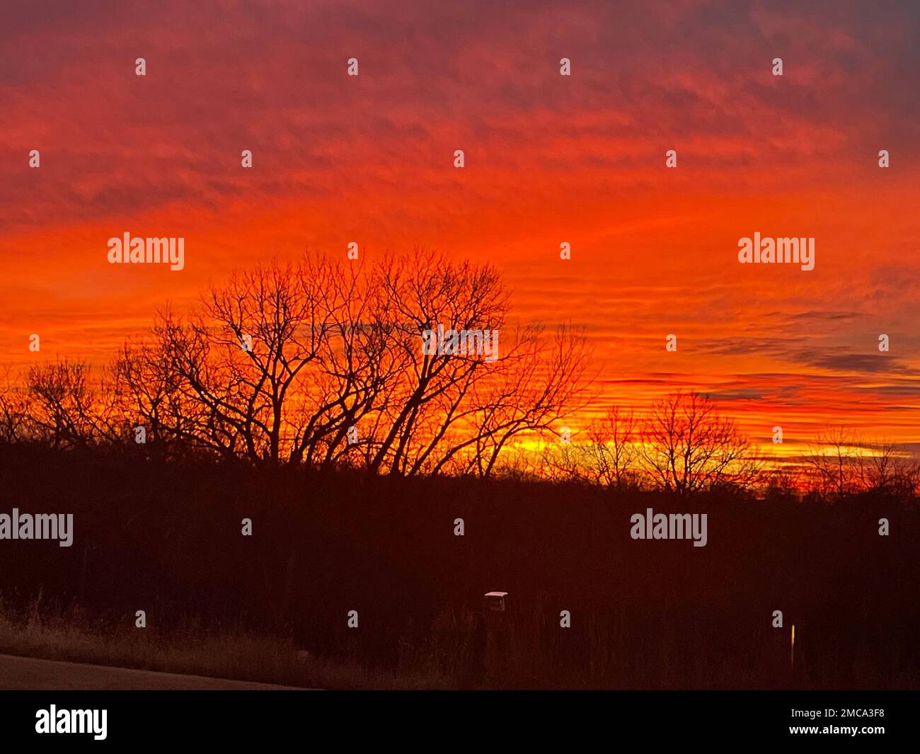 Mesmerizing skies glowing red during sunset over a forest with trees ...