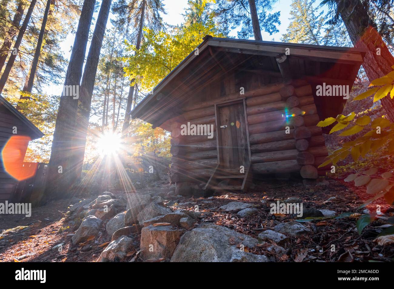 Log cabin in a forest in the Autumn in Lighthouse Park Stock Photo - Alamy
