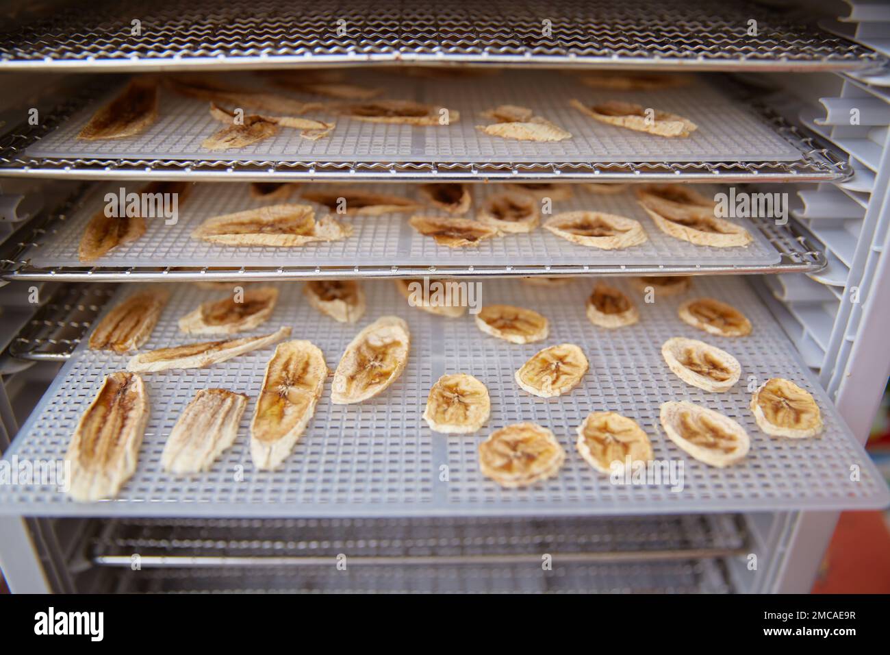 Dried bananas on the grid of an electric dehydrator Stock Photo - Alamy