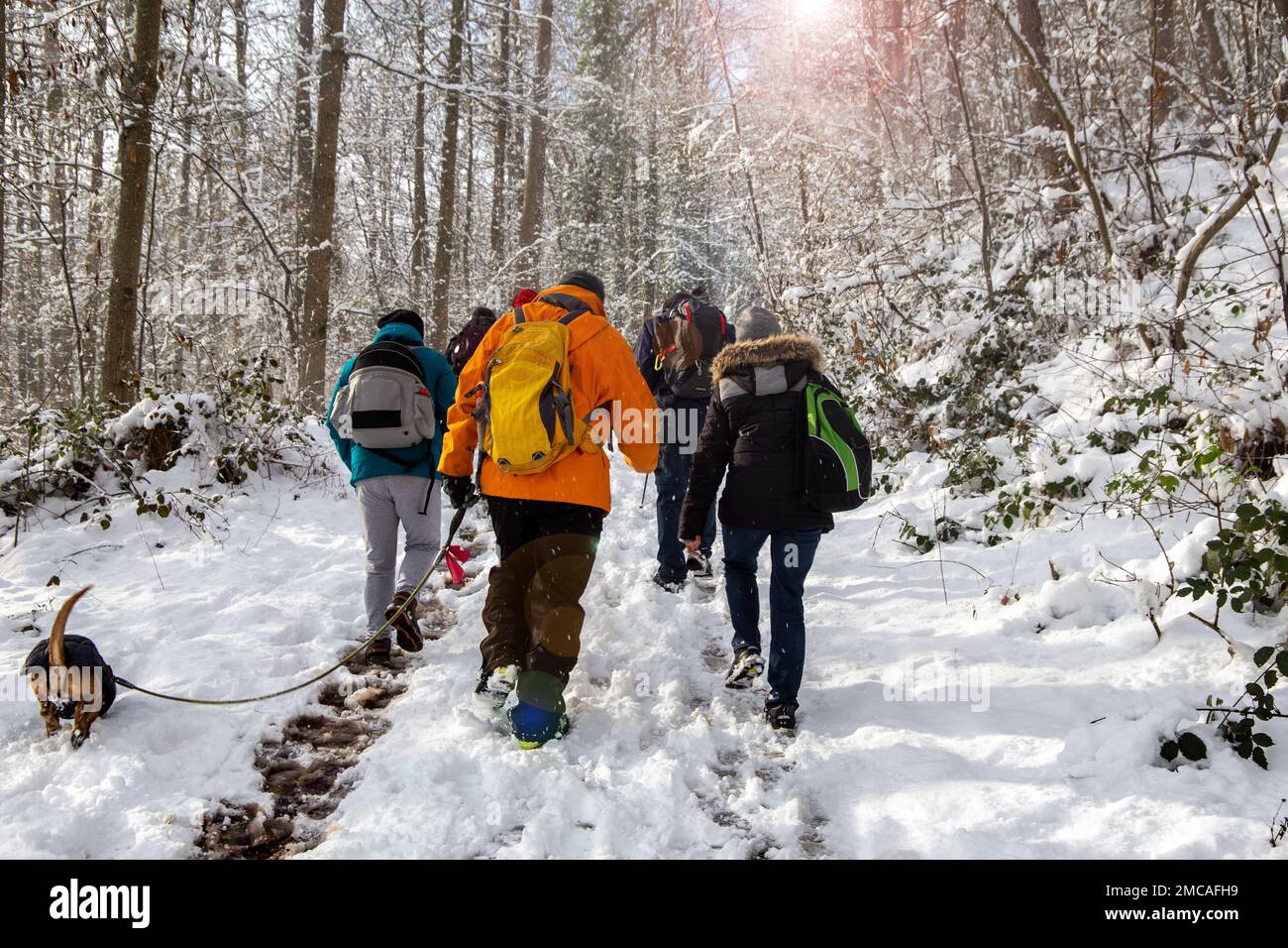 Group hiking in deep hi-res stock photography and images - Alamy