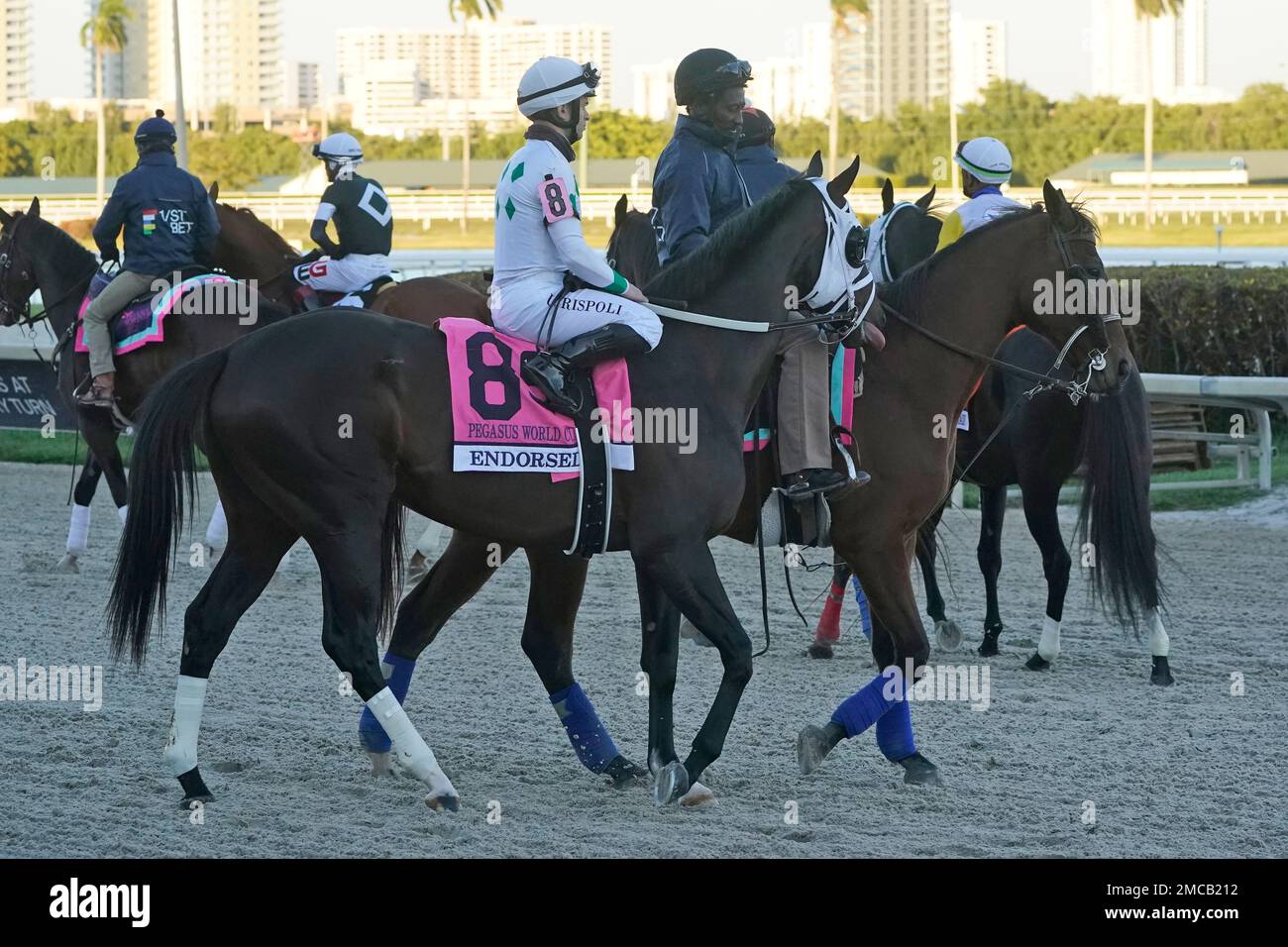 Endorsed, ridden by Tyler Gaffalione is shown before the start of the ...