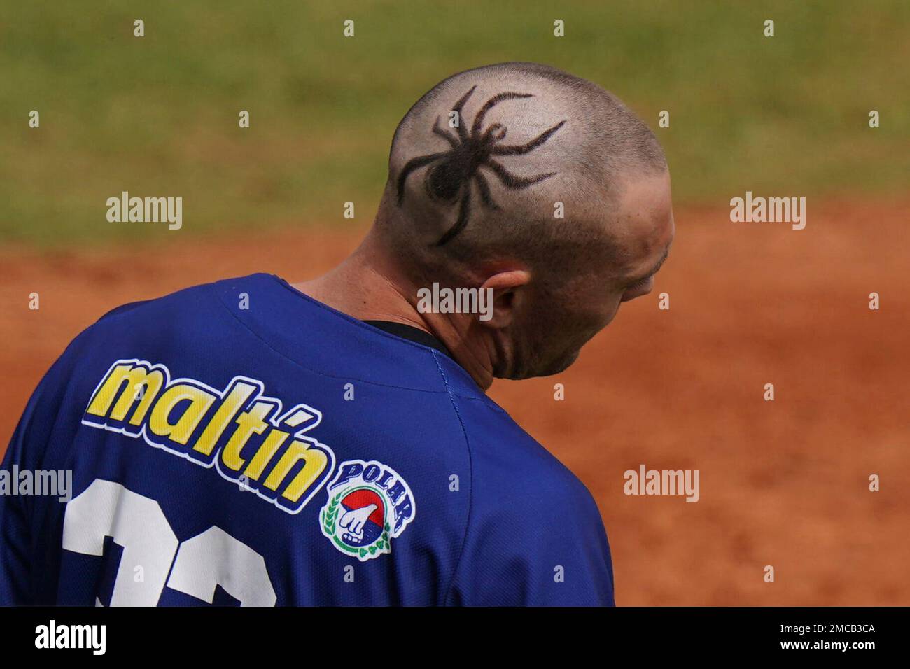 Venezuelan player Cade Gotta wears a spider shape in his haircut during ...