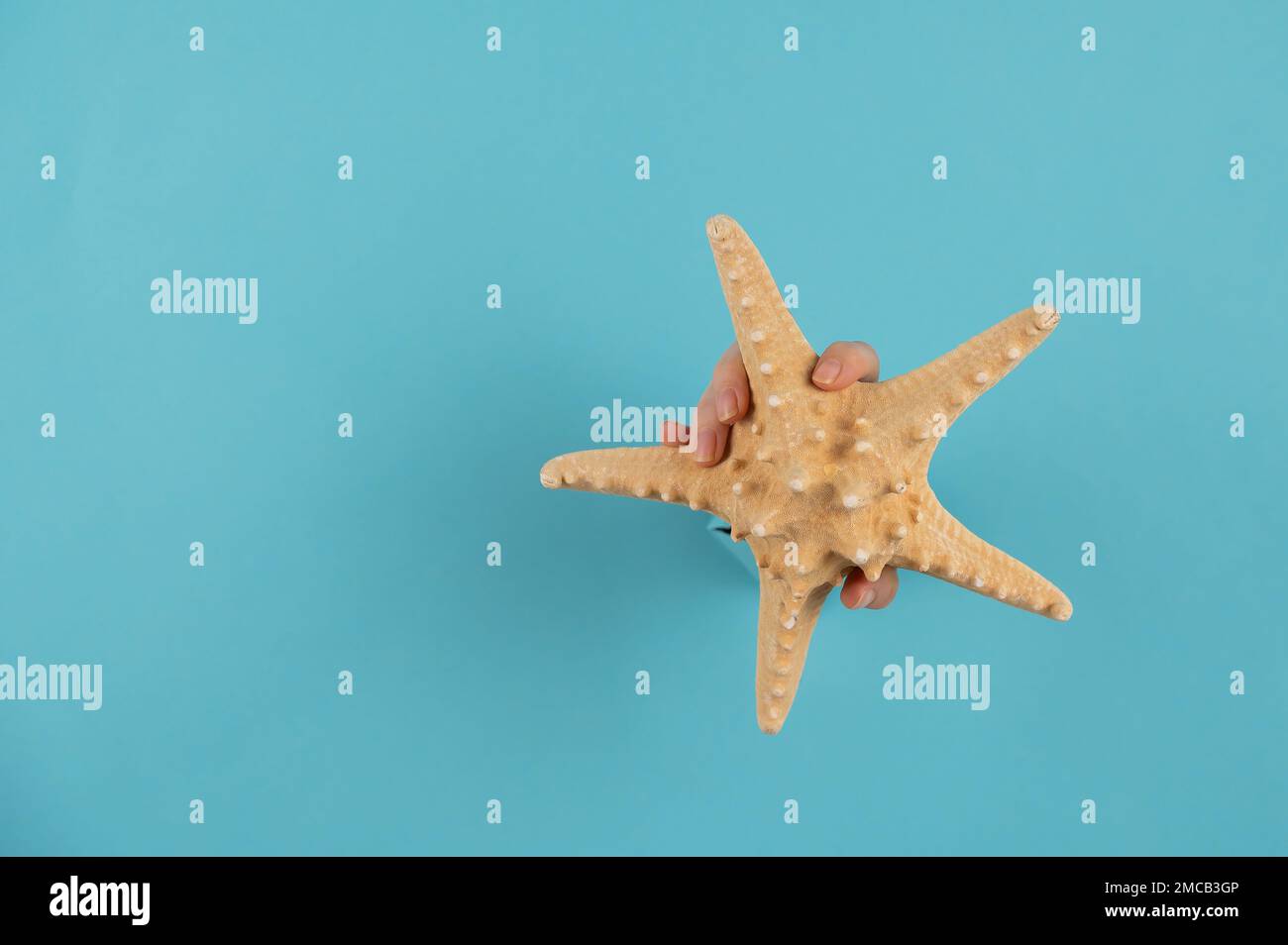 A hand with a starfish sticking out of a hole in a blue cardboard ...