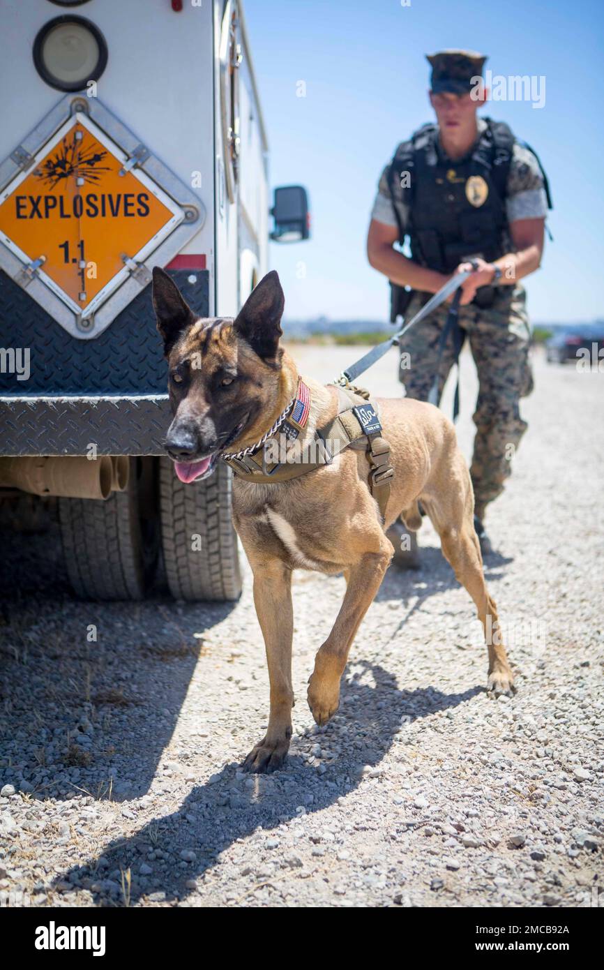 U.S. Marine Corps Cpl. Dawson T. Sparks, a dog handler with ...