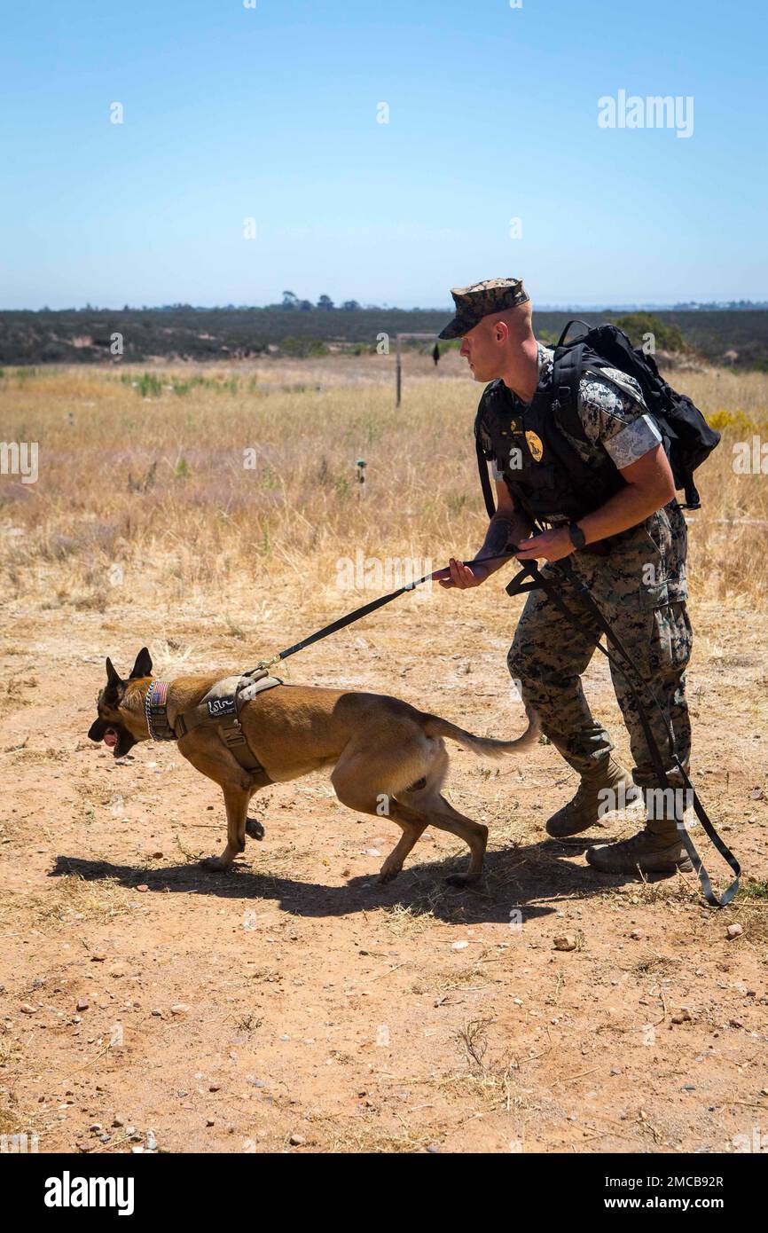 U.S. Marine Corps Cpl. Dawson T. Sparks, a dog handler with ...