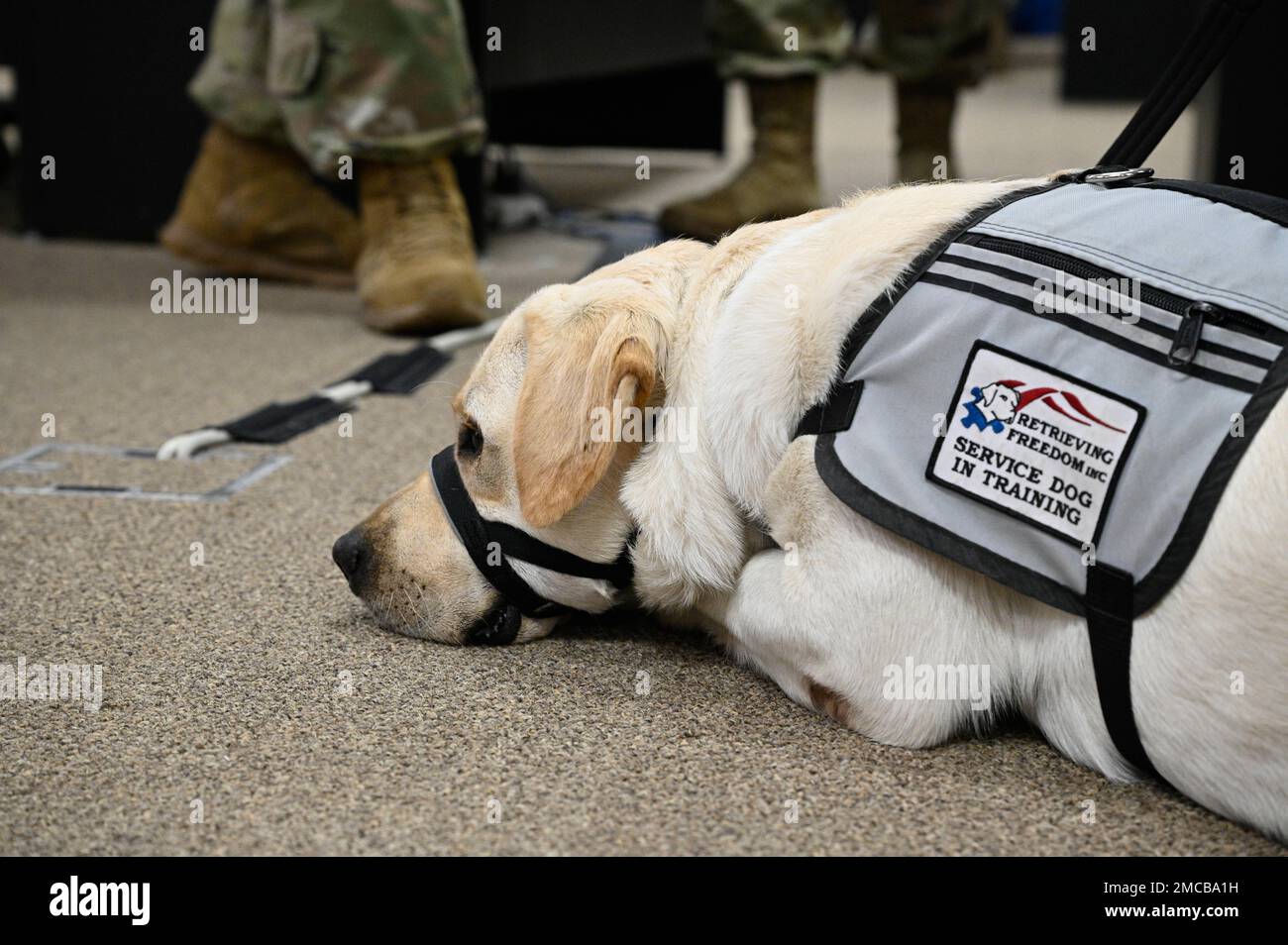 Ptsd month hi-res stock photography and images - Alamy