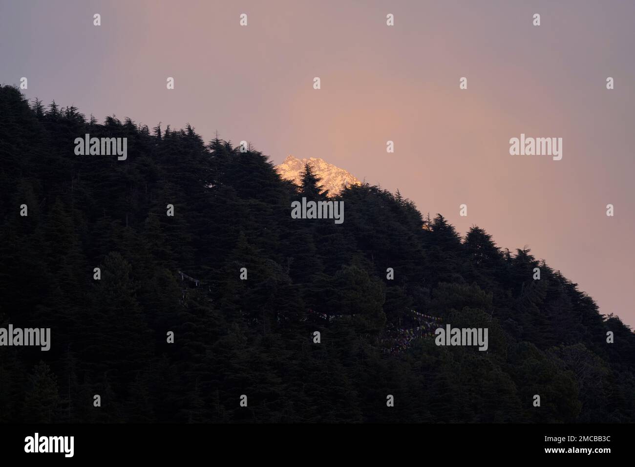 Evening sun catches a snow peak of the Dhauladhar range of the Himalaya ...