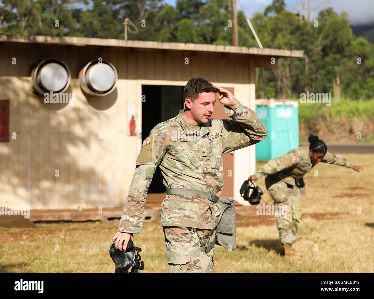 Fact seal hi-res stock photography and images - Alamy