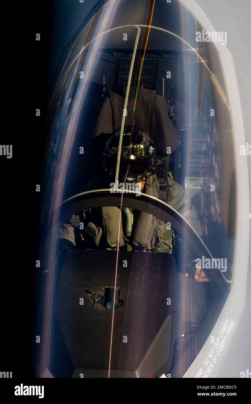 A U.S. Air Force F-35A Lightning II pilot assigned to the 421st Fisgter ...